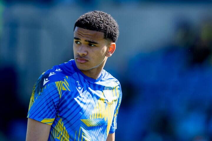 Northern Ireland football: Pierce Charles could elevate his game to new ...