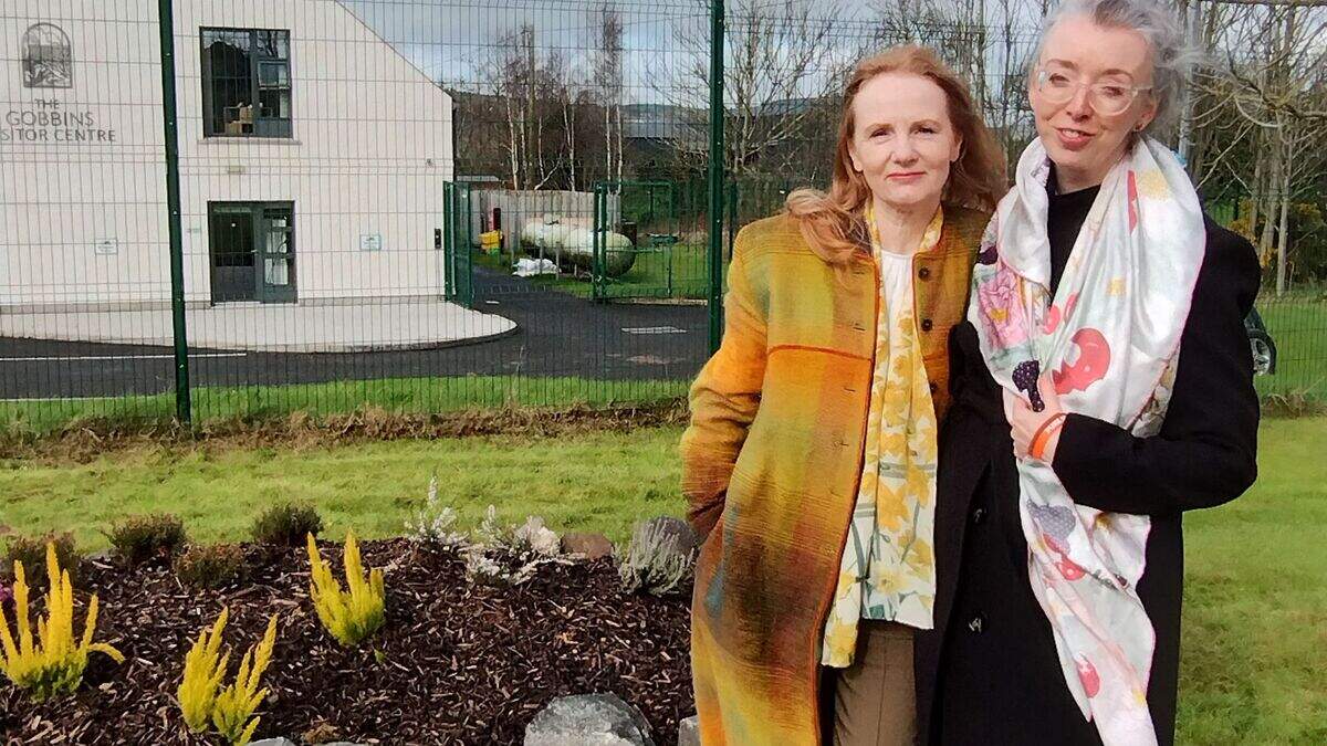 Author Martina Devlin on unjust history: ‘I couldn’t forget the ...