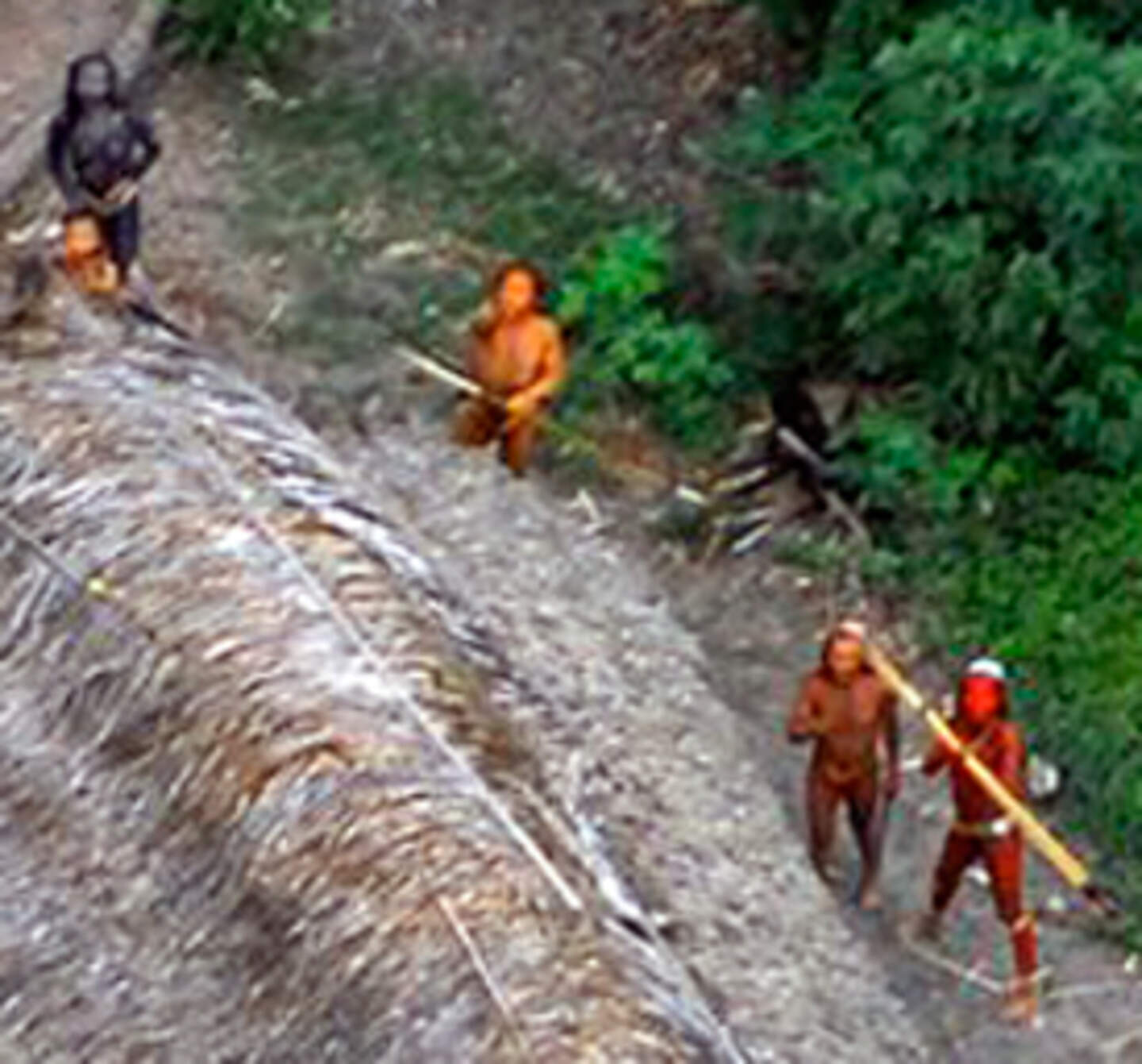 Amazonian tribe in Brazilian rainforest faces extinction | Belfast ...