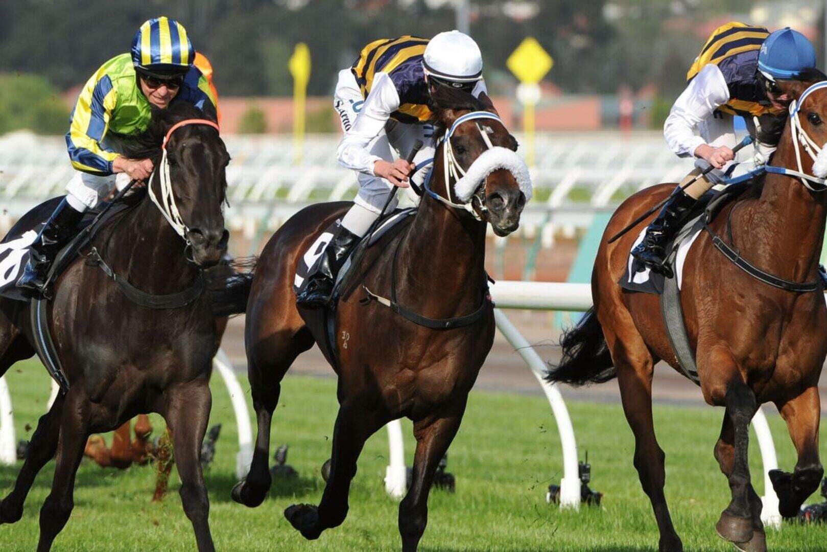 Black Caviar trainer Peter Moody facing lengthy ban | Belfast Telegraph