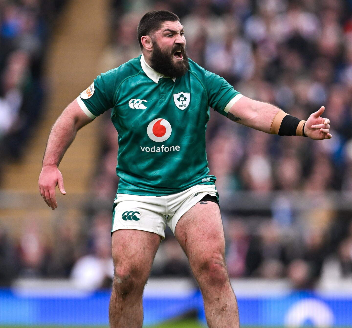 Ireland rugby Nations Championship: Ulster players’ chances explained ...