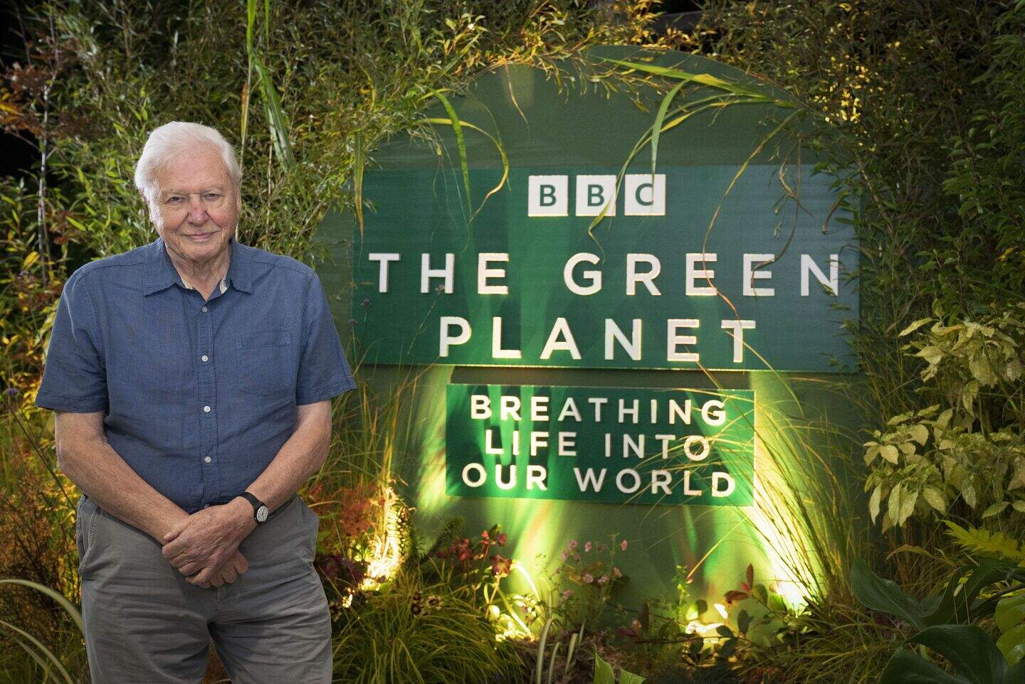 Sir David Attenborough stabbed by ‘dangerous’ cactus while filming new ...