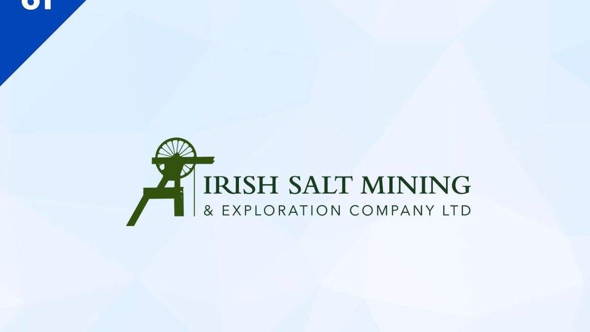61: The Irish Salt Mining and Exploration Co | Belfast Telegraph