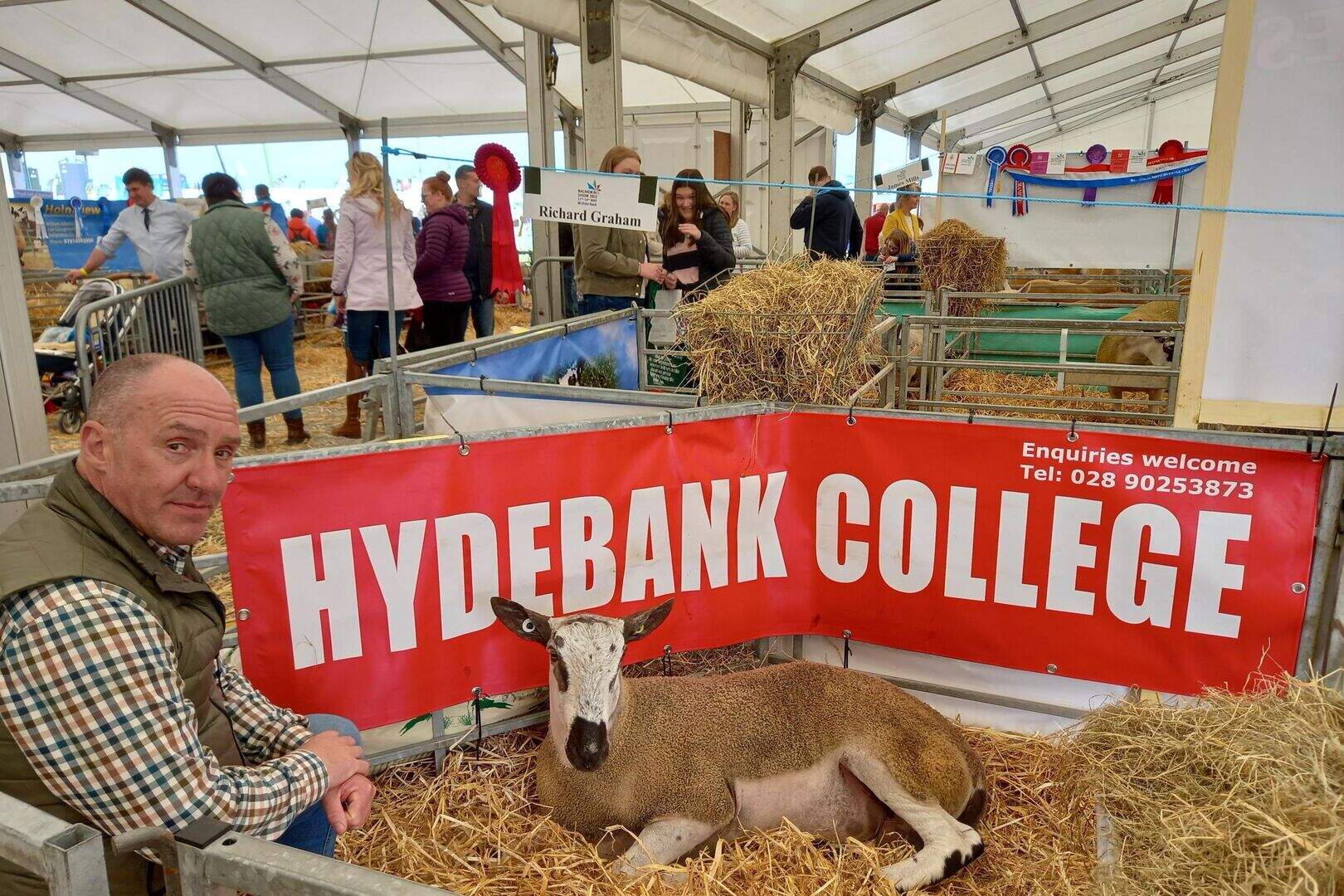 Balmoral Show day two: Prize-winning livestock raised by young ...