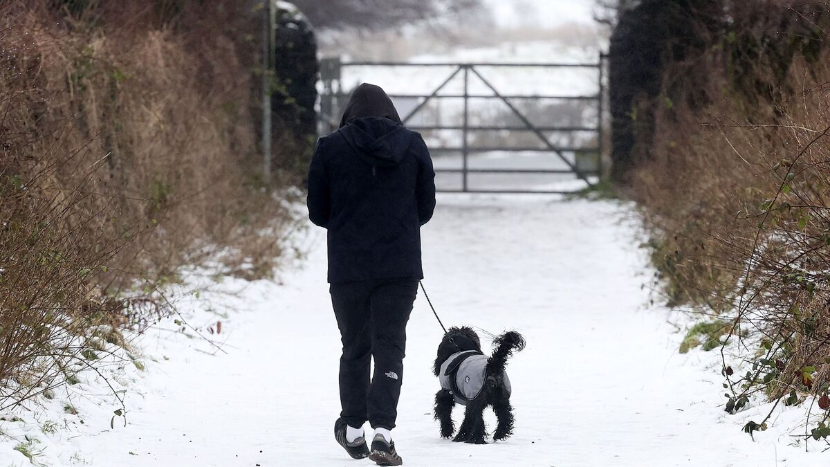 Northern Ireland weather: Met Office issues new weather warning ...