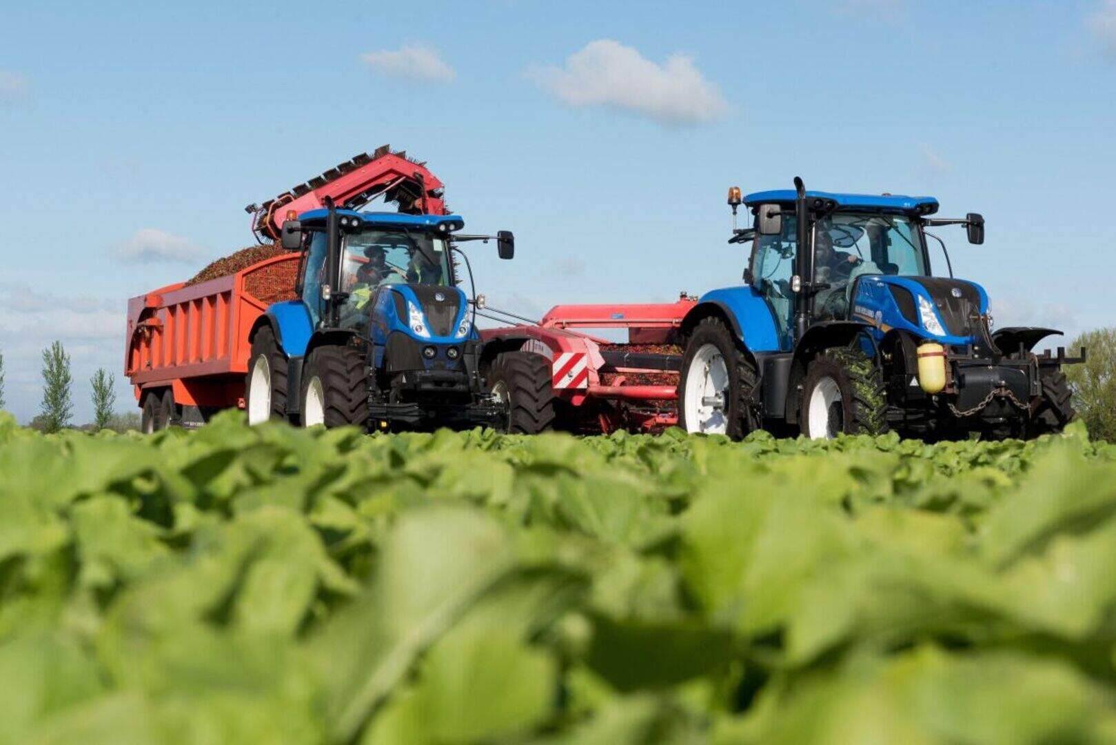 N Ireland farmers 'turning properties into fortresses against serial ...
