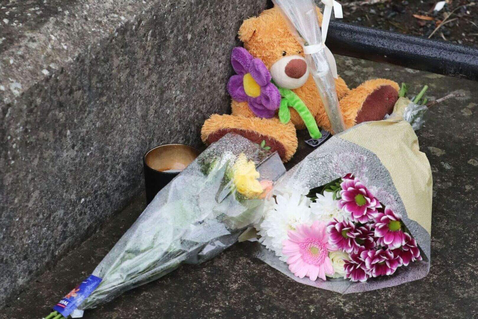 Mother arrested in homicide inquiry after three-year-old dies | Belfast ...