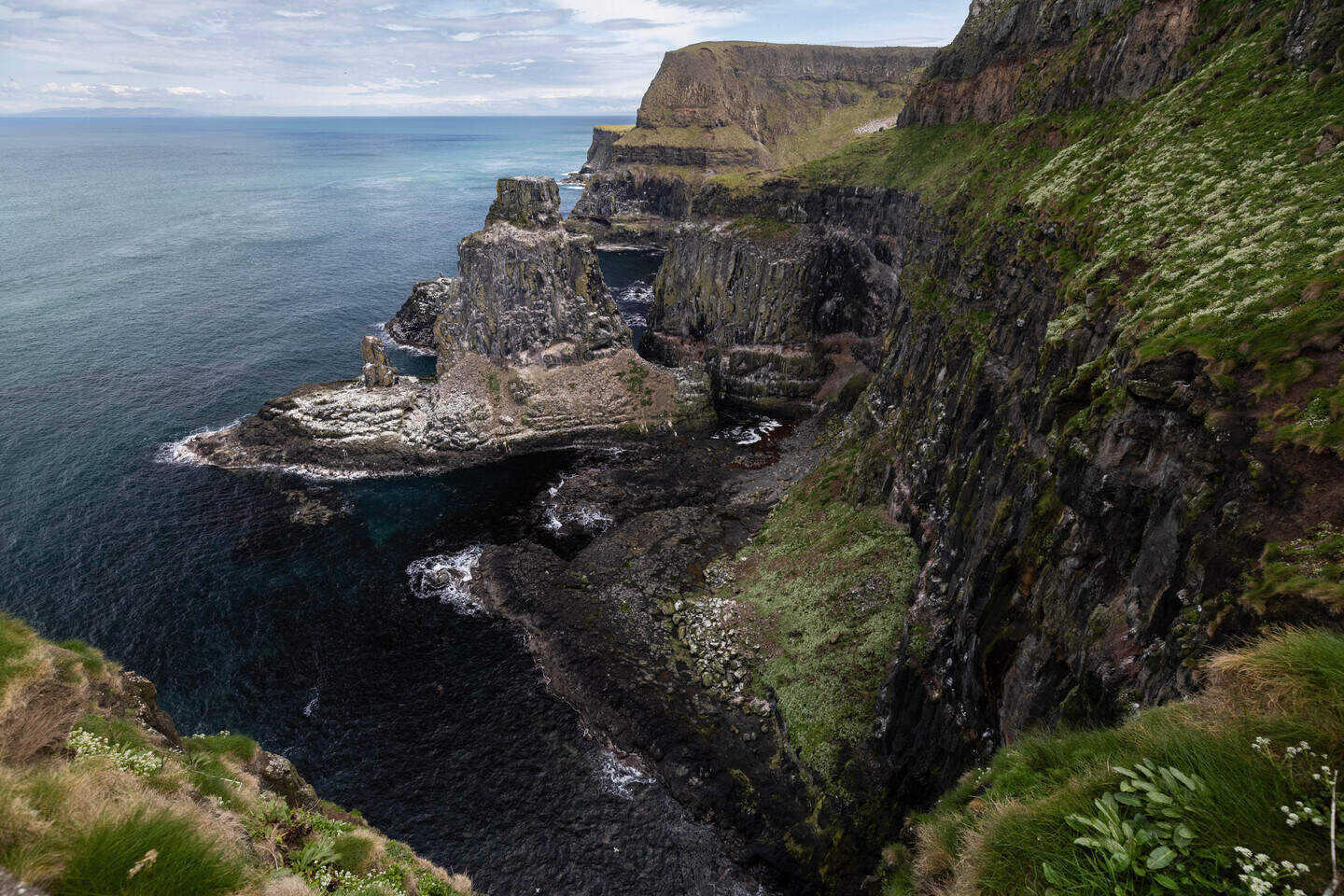 Puffins make welcome return to Rathlin Island for summer season: ‘They ...