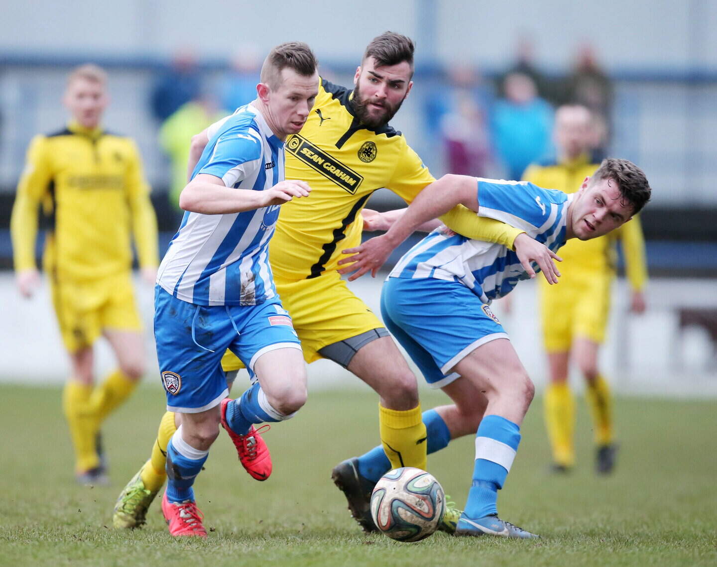 Irish League Lives: John Watt's journey from Coleraine fan to player ...