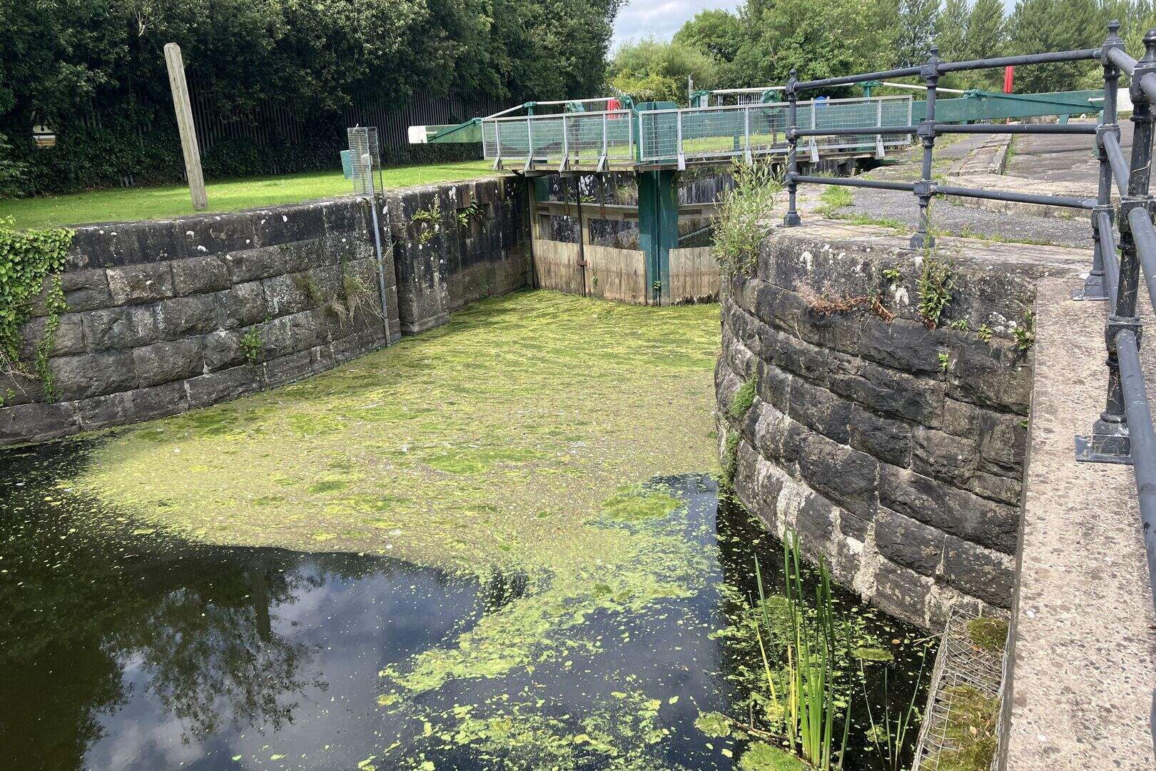 Lough Neagh: Action plan shows Executive’s ‘lack of understanding’ says ...