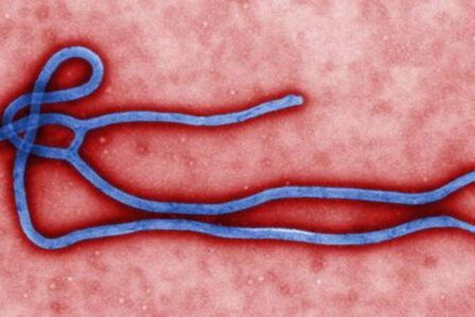 Ebola virus warning for the UK: Health officials issue warning to ...