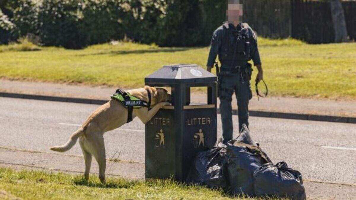 Colinvale, Dunmurry: Pipe bomb found after homes are evacuated during ...