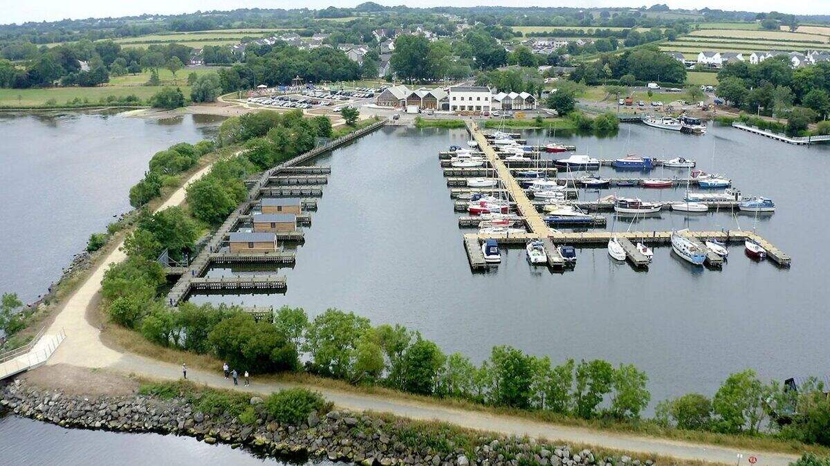 Further case of harmful blue-green algae confirmed on shores of Lough ...