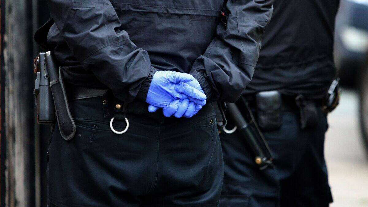 Plans to use lie detector tests on terrorists misguided, says expert ...