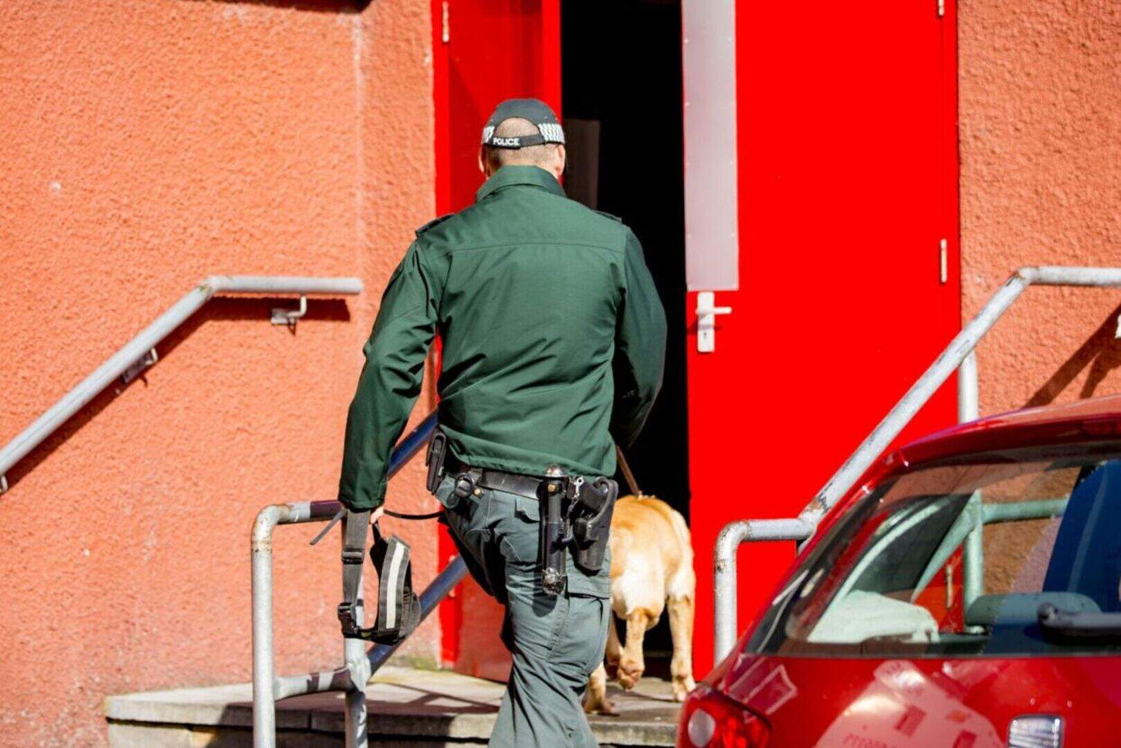 Crusaders football club's ground searched by UVF probe police | Belfast ...