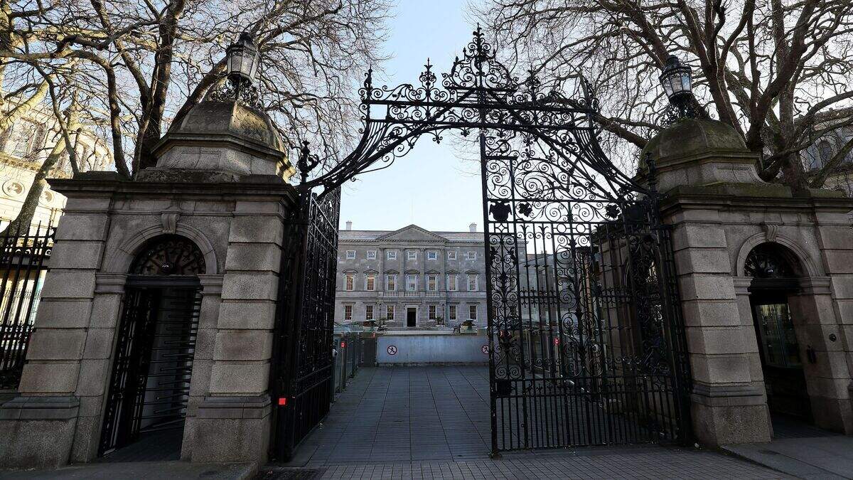 What issues will dominate the 2020 Irish General Election campaign ...