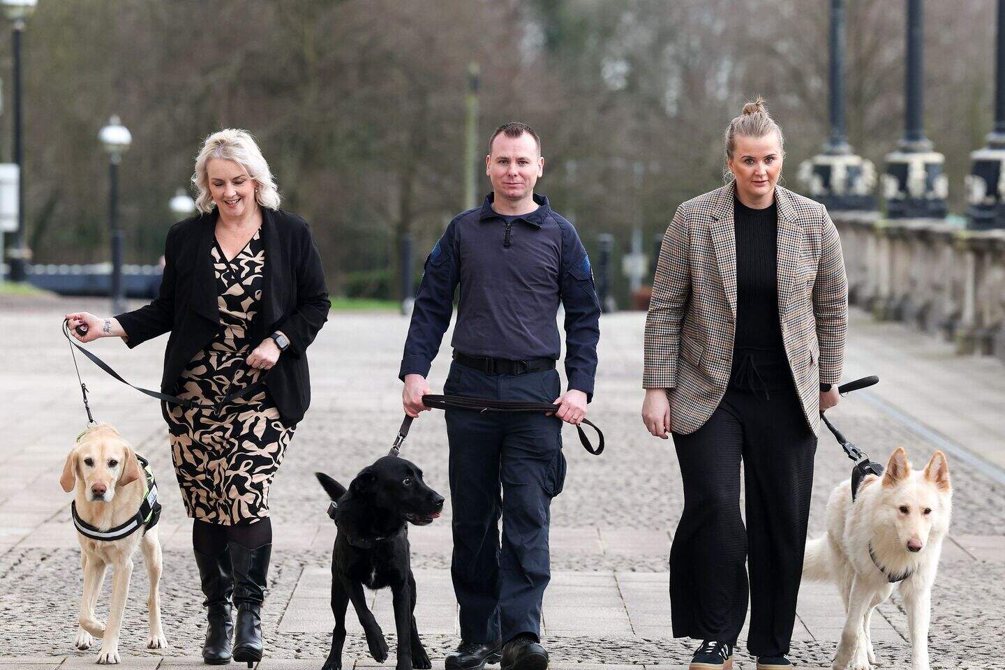 Bangor: 'Feral teens' continue weeks-long rampage as rescue dog ‘kicked ...