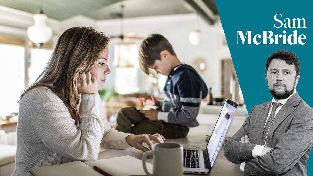 Sam McBride: Working from home might suit people like me, but it’s a ...