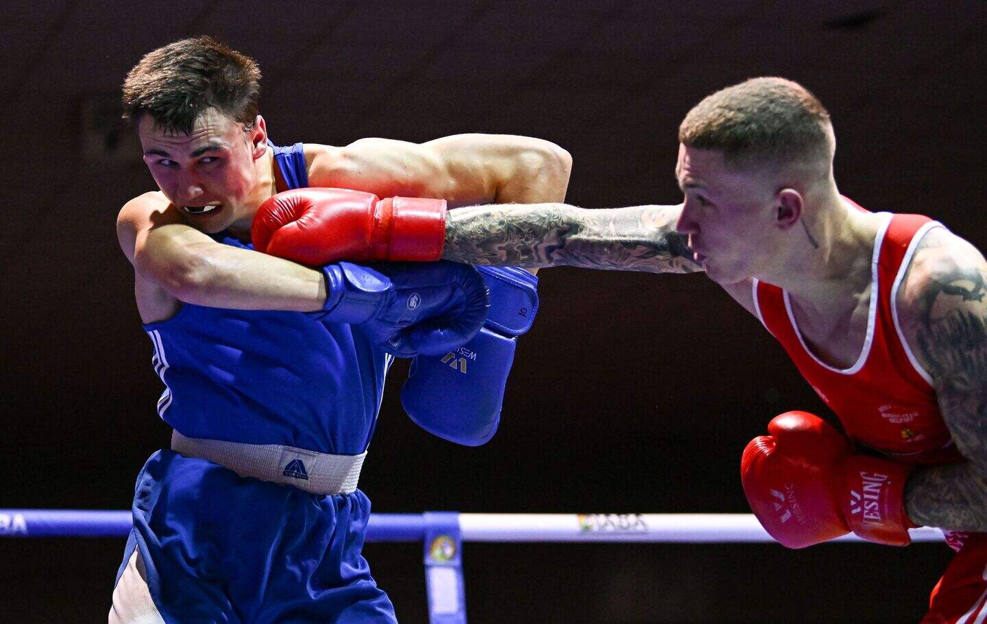 Irish Elite Finals: Holy Trinity’s Jon McConnell eases into decider ...