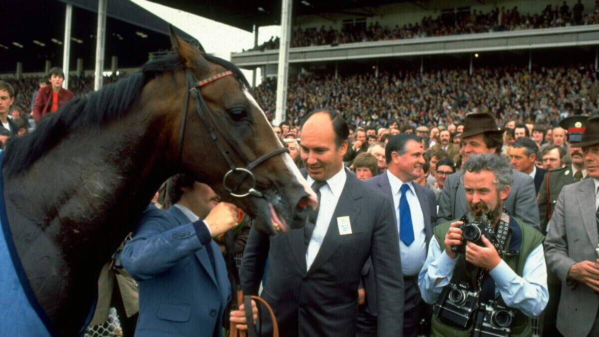 Shergar killed in an ‘awful way’ shortly after kidnapping, claims Aga ...