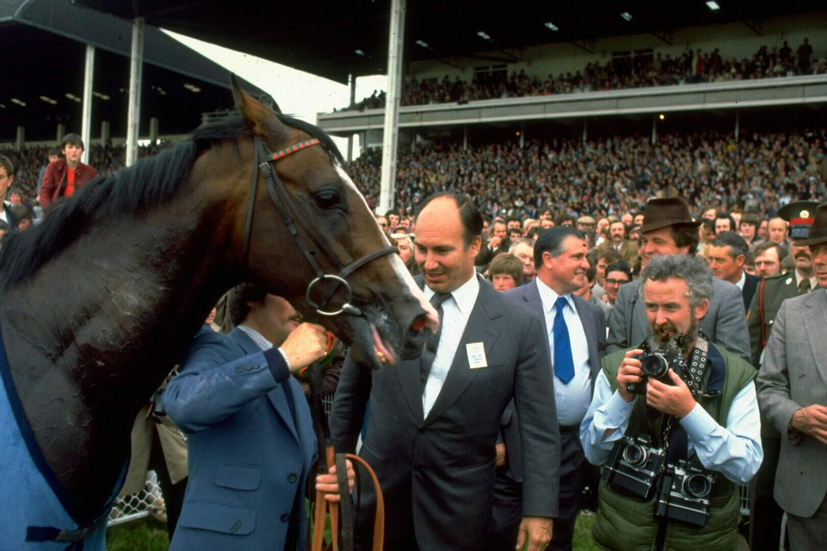 Shergar killed in an ‘awful way’ shortly after kidnapping, claims Aga ...