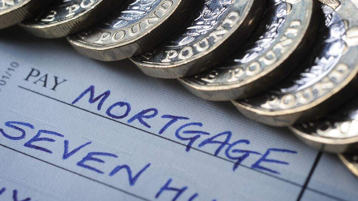 Bank’s cut in interest rates ‘good news’ for housing market in Northern ...