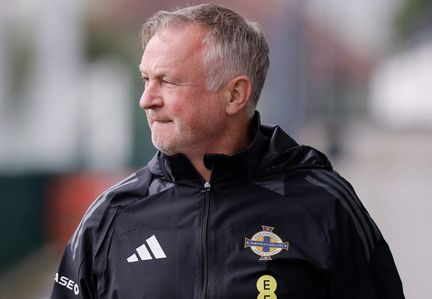 Northern Ireland football crisis: FAI row, youth chaos and needed ...