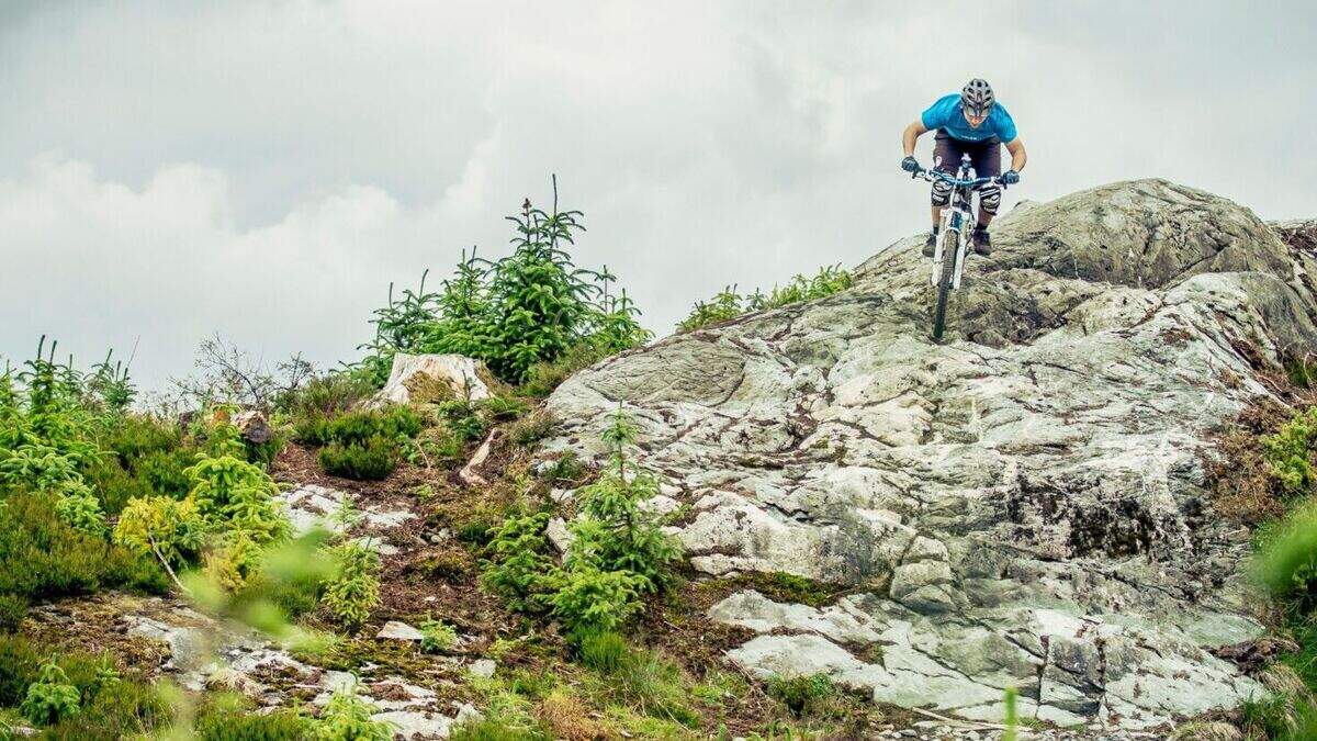 Trailblazing Sperrins mountain bike course pedals off with top awards ...