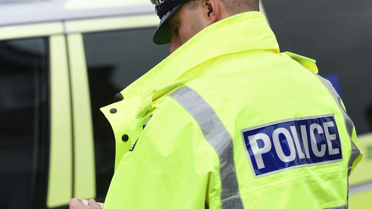 Met Police to overhaul gang crime list after High Court challenge ...