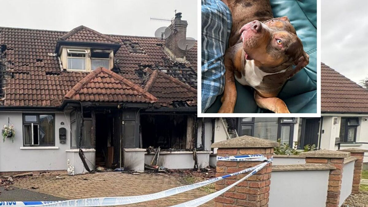 Clonmore: Person suffers serious burns as house is gutted during ...