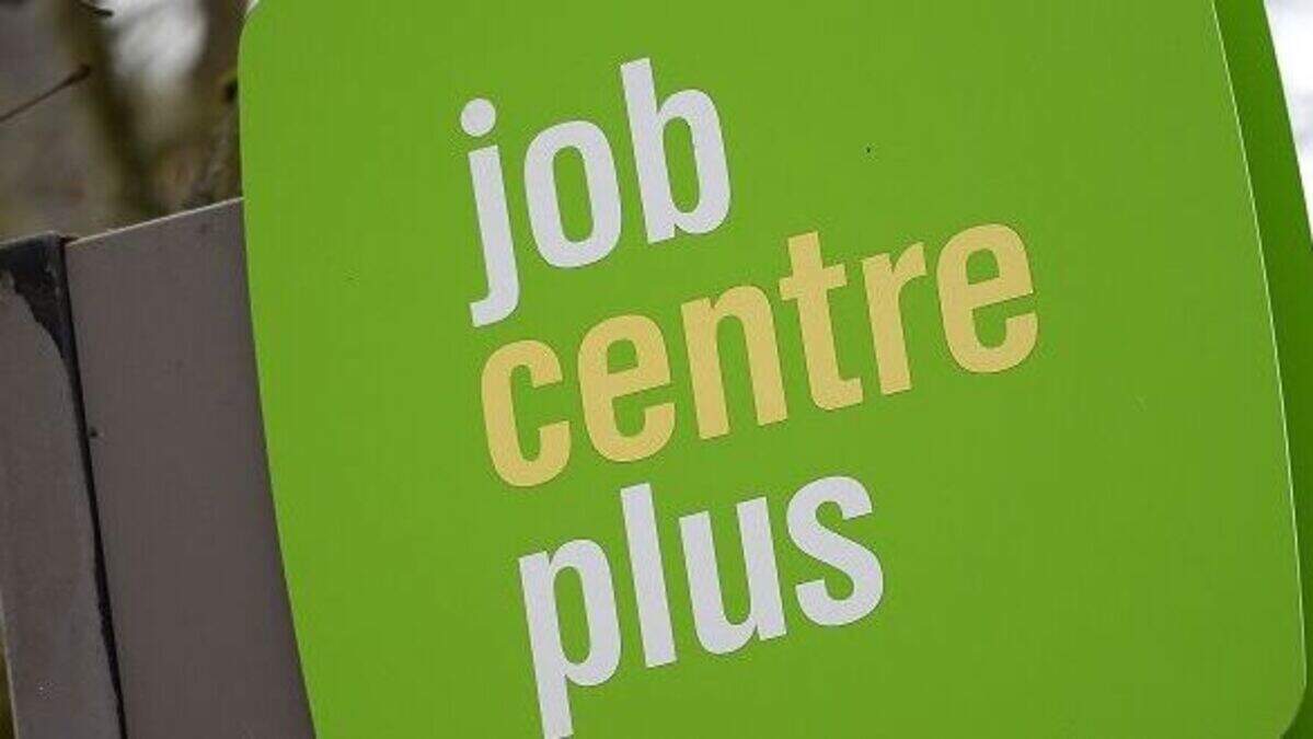 Government hails record employment | Belfast Telegraph