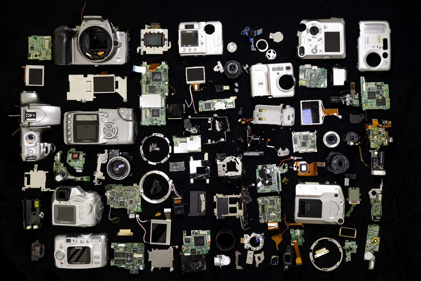 Smash a camera, make an artwork: Belfast Photo Festival unveils ...