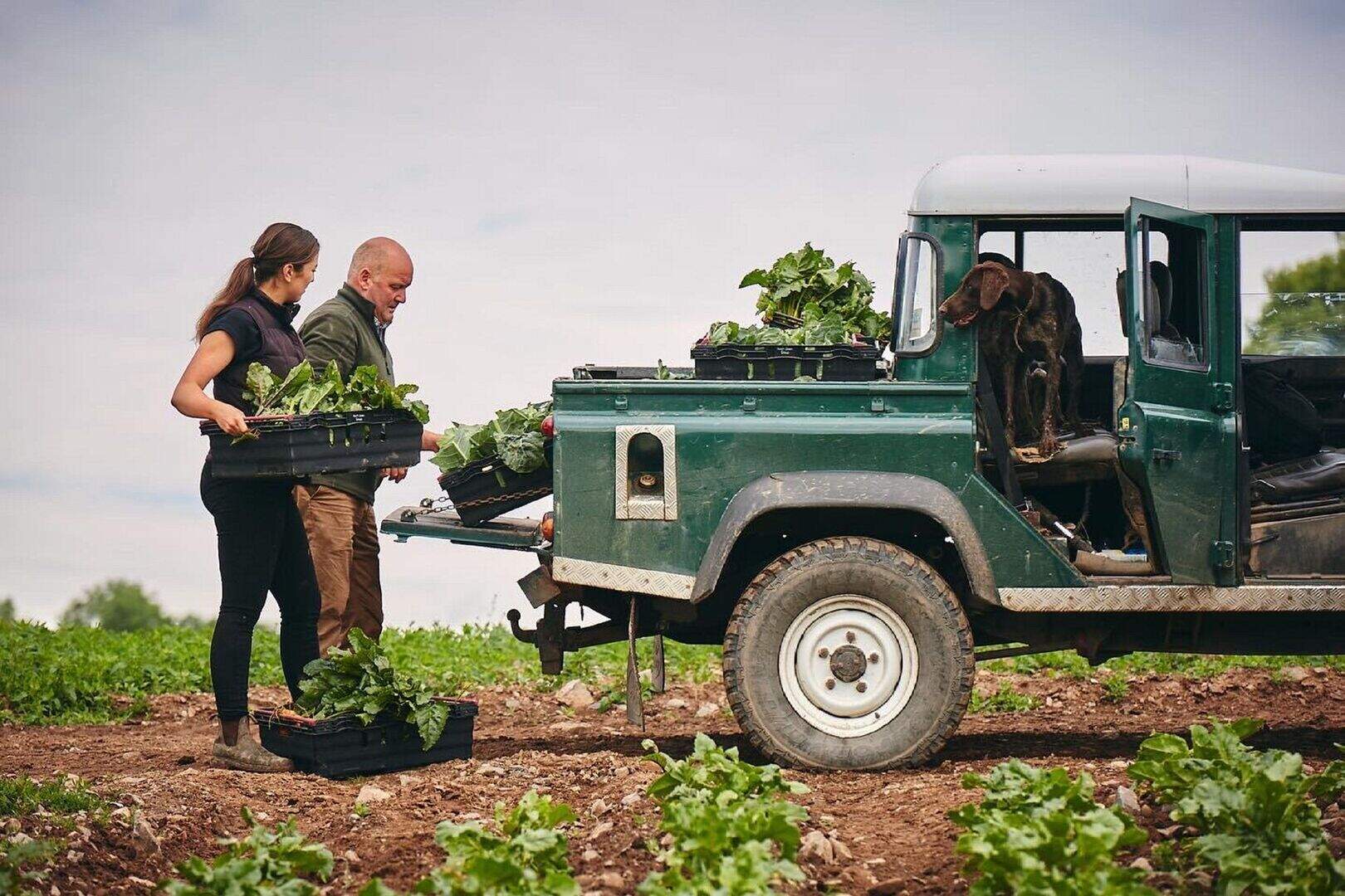 From £3m to £20m turnover: How a Co Down family firm became a major ...