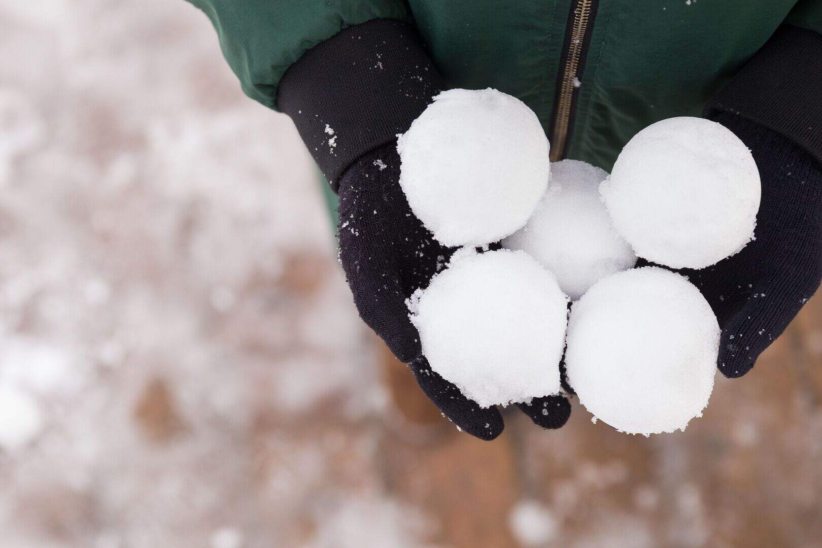 Snowball fight called off because of snow | Belfast Telegraph