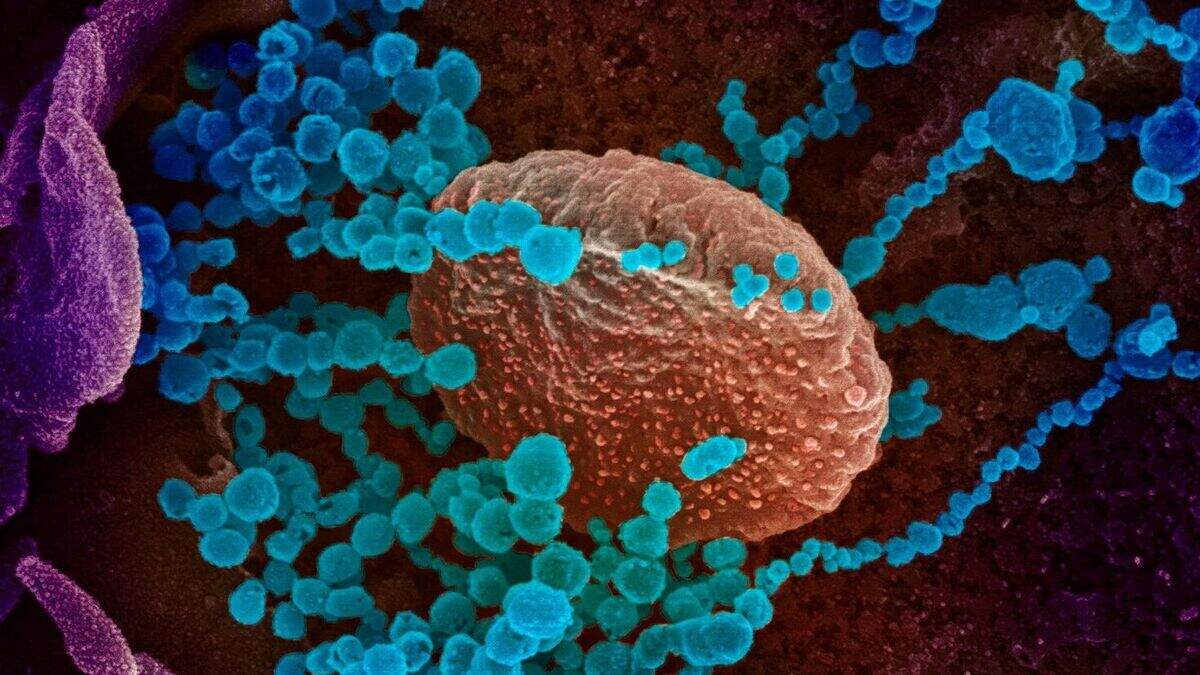 Coronavirus: Concerns mounting over virus resurgence with more cases ...