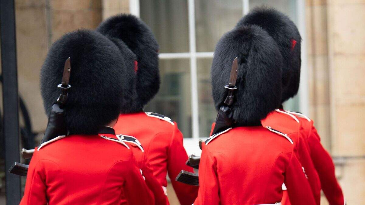 Peta mounts legal action against MoD over replacing King’s Guards ...
