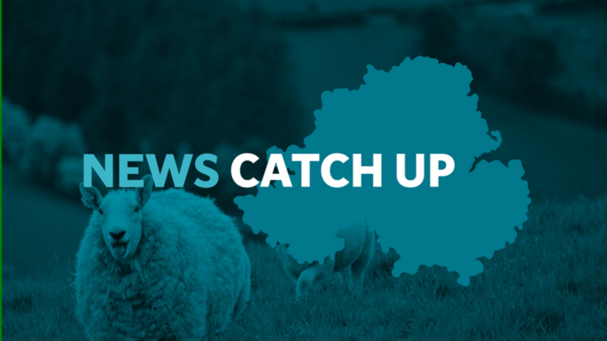 News Catch Up - Friday 19 December | Belfast Telegraph