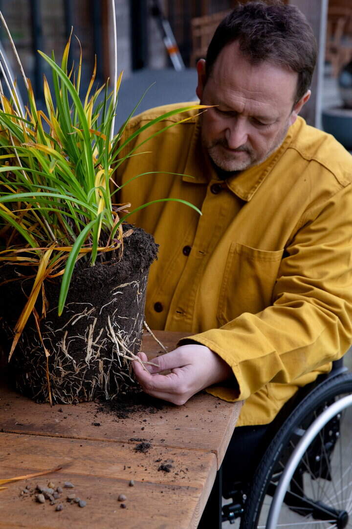 Money saving tips for the thrifty gardener | Belfast Telegraph
