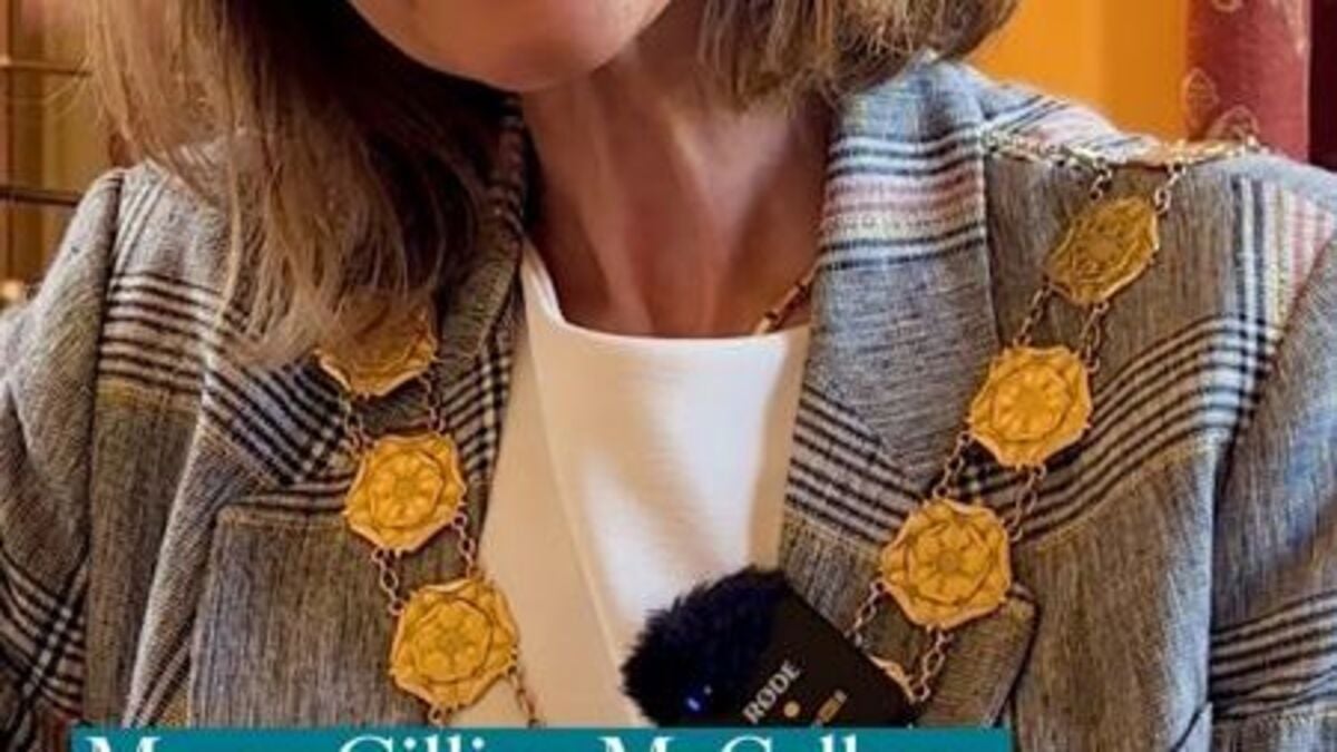 Mayor of Ards and North Down Gillian McCollum on why she got in to ...