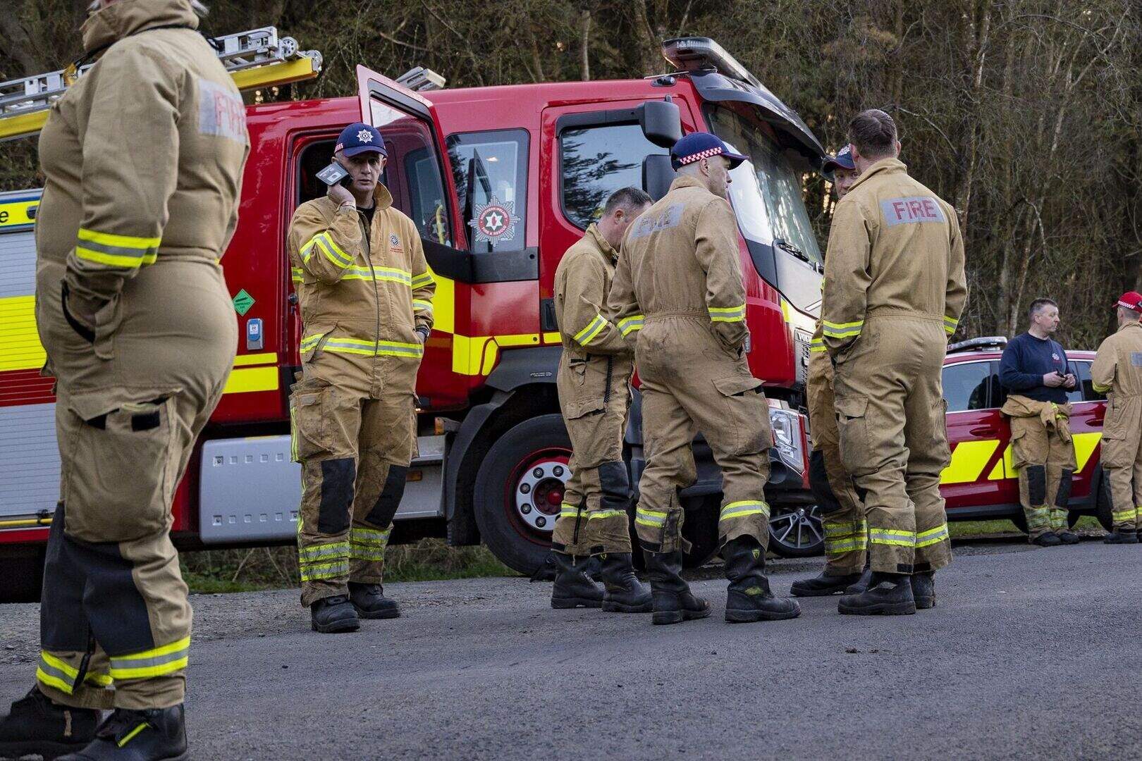 Co Down: Dog reunited with owner after firefighters mount rescue ...
