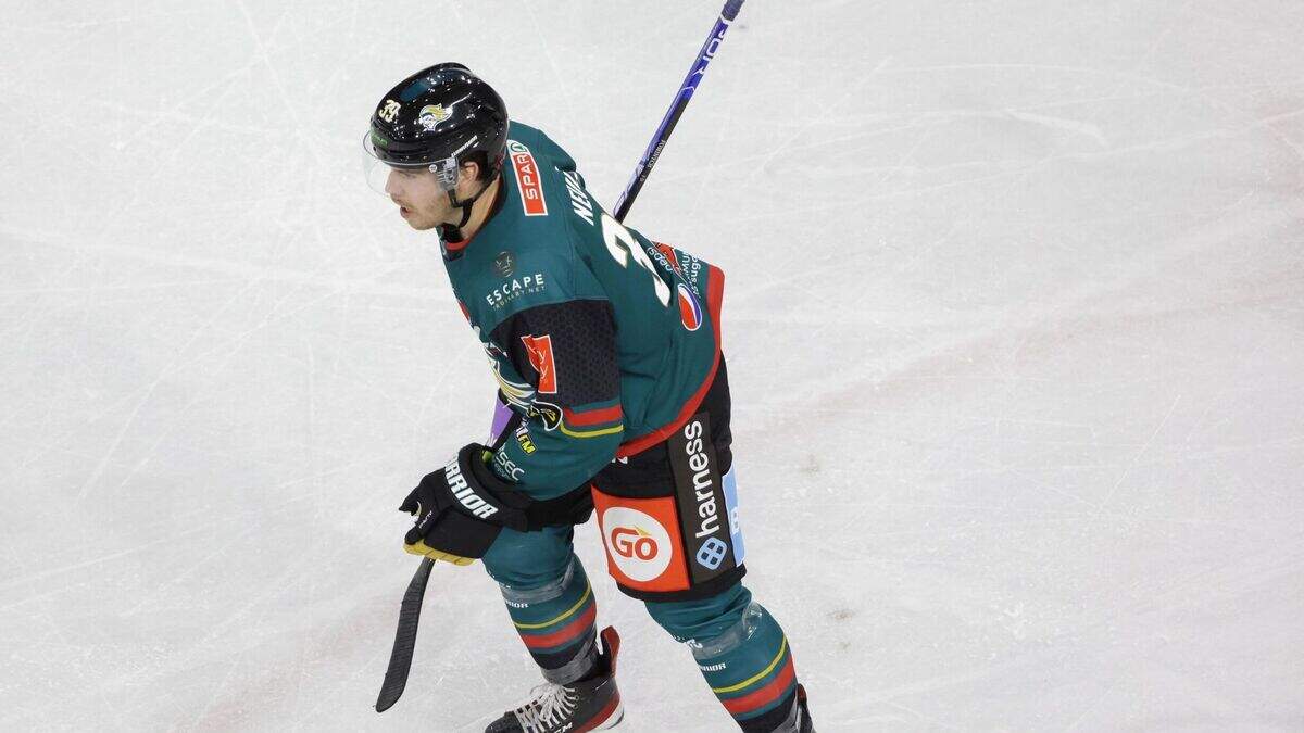 Donovan Neuls settling into life with the Belfast Giants after stellar ...