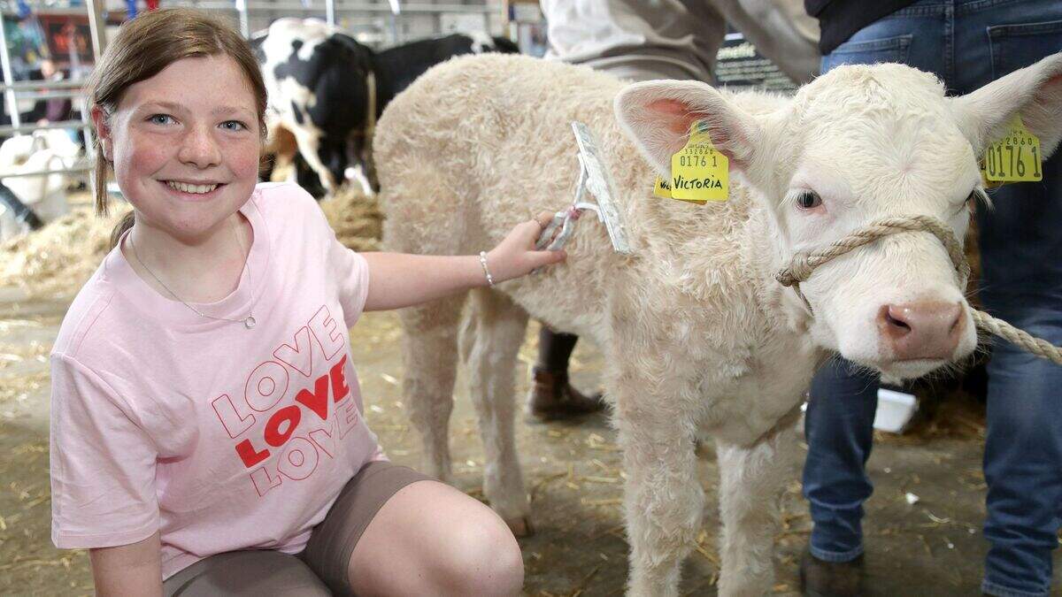 Balmoral Show: Sunny weather sees more than 100,000 visitors flock to ...
