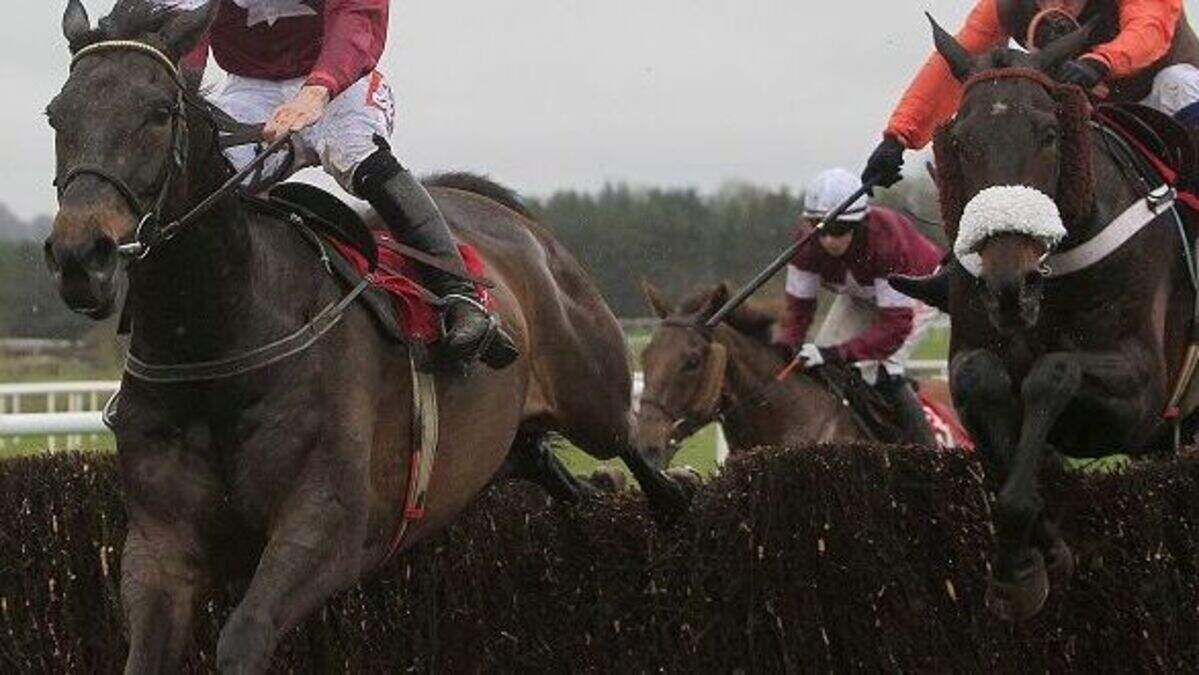 Sir Des secures Punchestown Gold | Belfast Telegraph