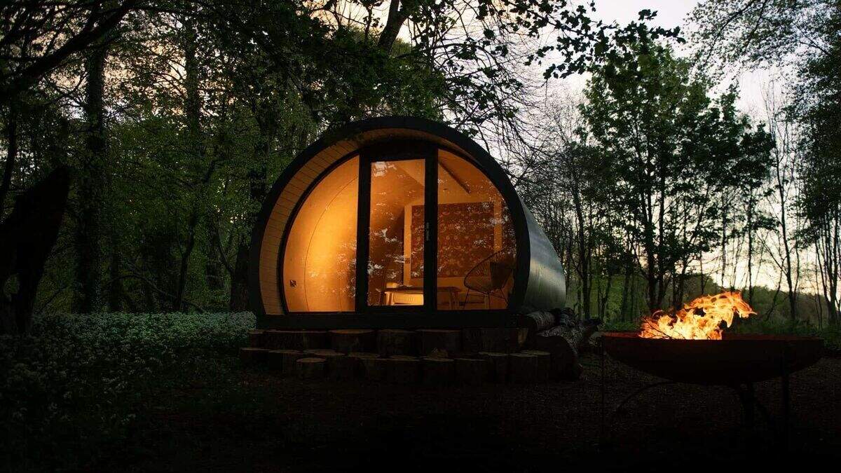 Further Space: NI ‘glamping pod’ business enters administration ...