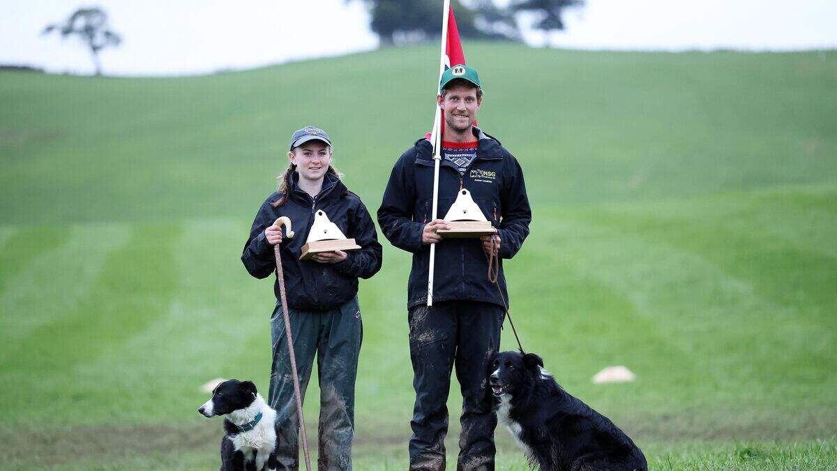 World Champion Sheepdog crowned following Co Down competition | Belfast ...