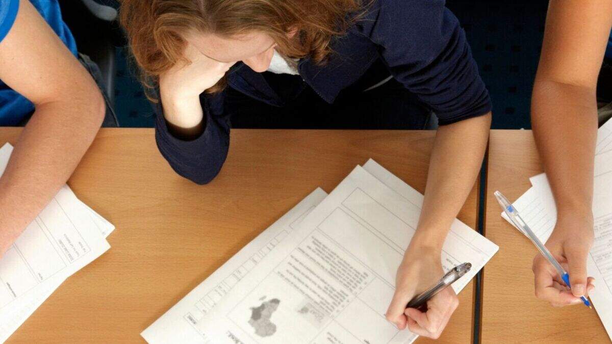 Decade after end of 11-plus, transfer tests popular as ever with ...