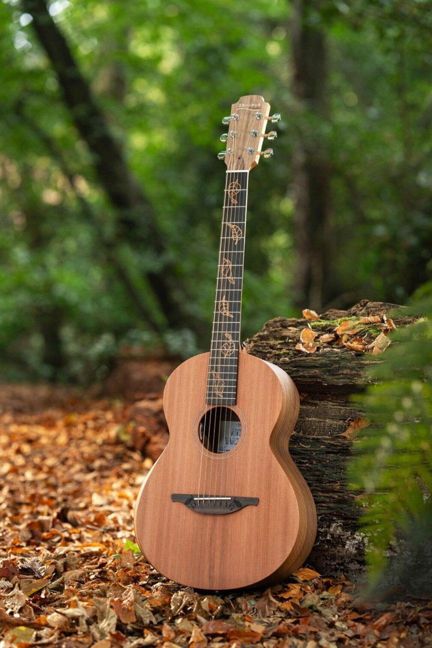 Co Down: Saintfield guitar maker continues Ed Sheeran partnership as ...