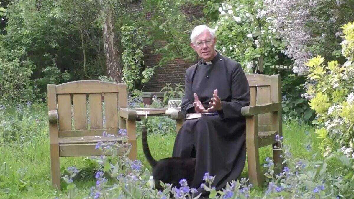 Disappearing cat and ‘Russell Crow’ – how cathedral animals spread ...