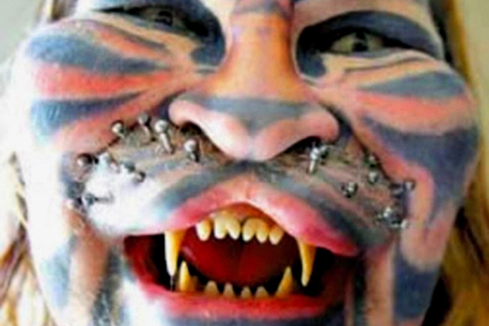 'Stalking cat' Daniel Avner found dead after years of body modification ...