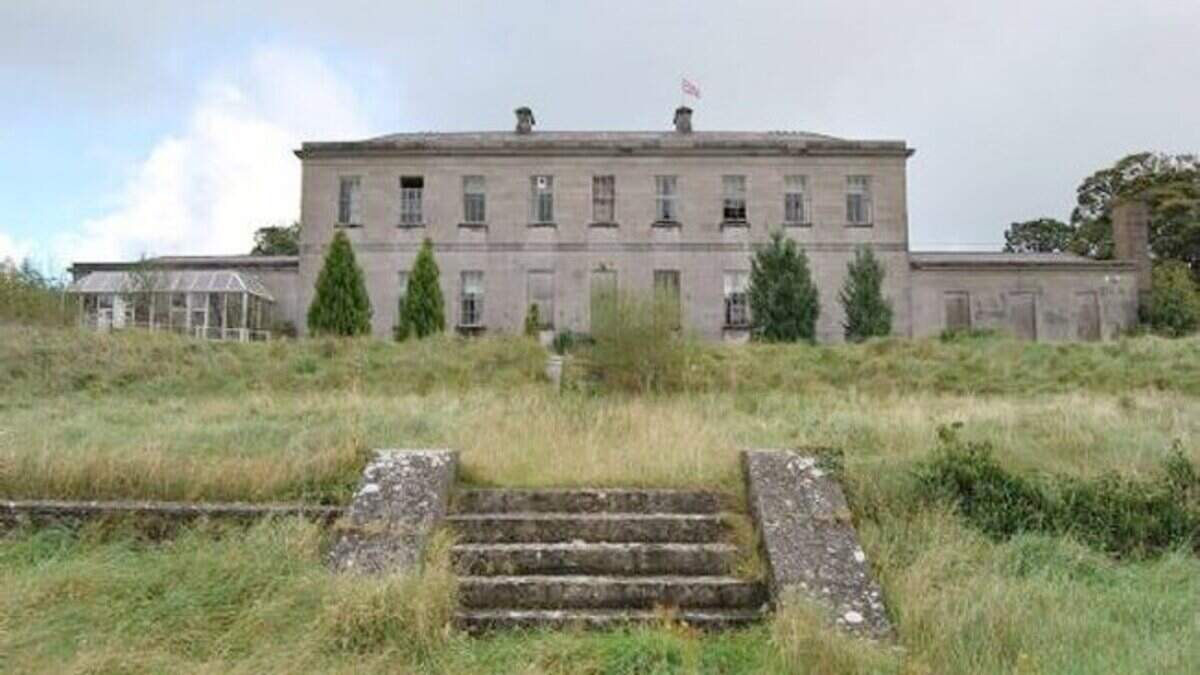 Northern Ireland properties auctioned off at rock-bottom prices - semi ...